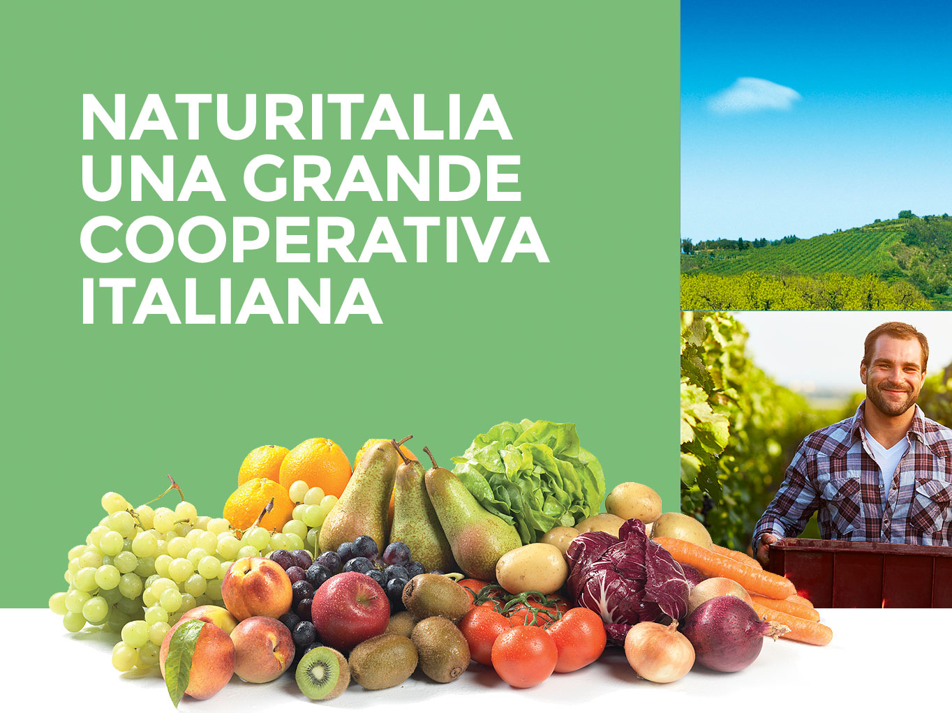 coop - Naturitalia